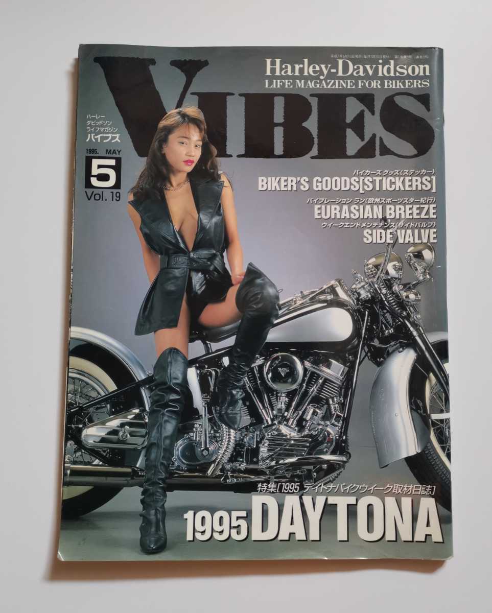 【全体的に状態が悪い】VIBES バイブズ vol.19 パンヘッドの落札情報詳細 - Yahoo!オークション落札価格検索 オークフリー