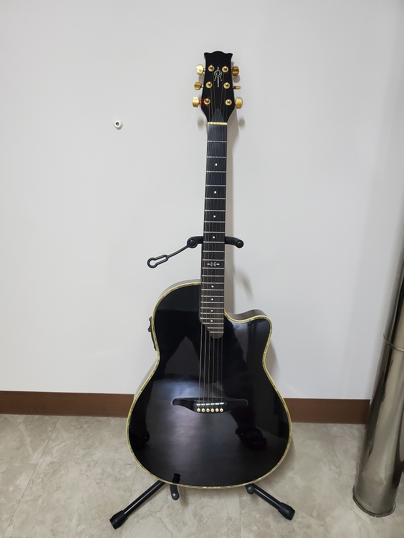 【傷や汚れあり】ALVAREZ YAIRI YD-88BKの落札情報詳細 - ヤフオク落札価格検索 オークフリー