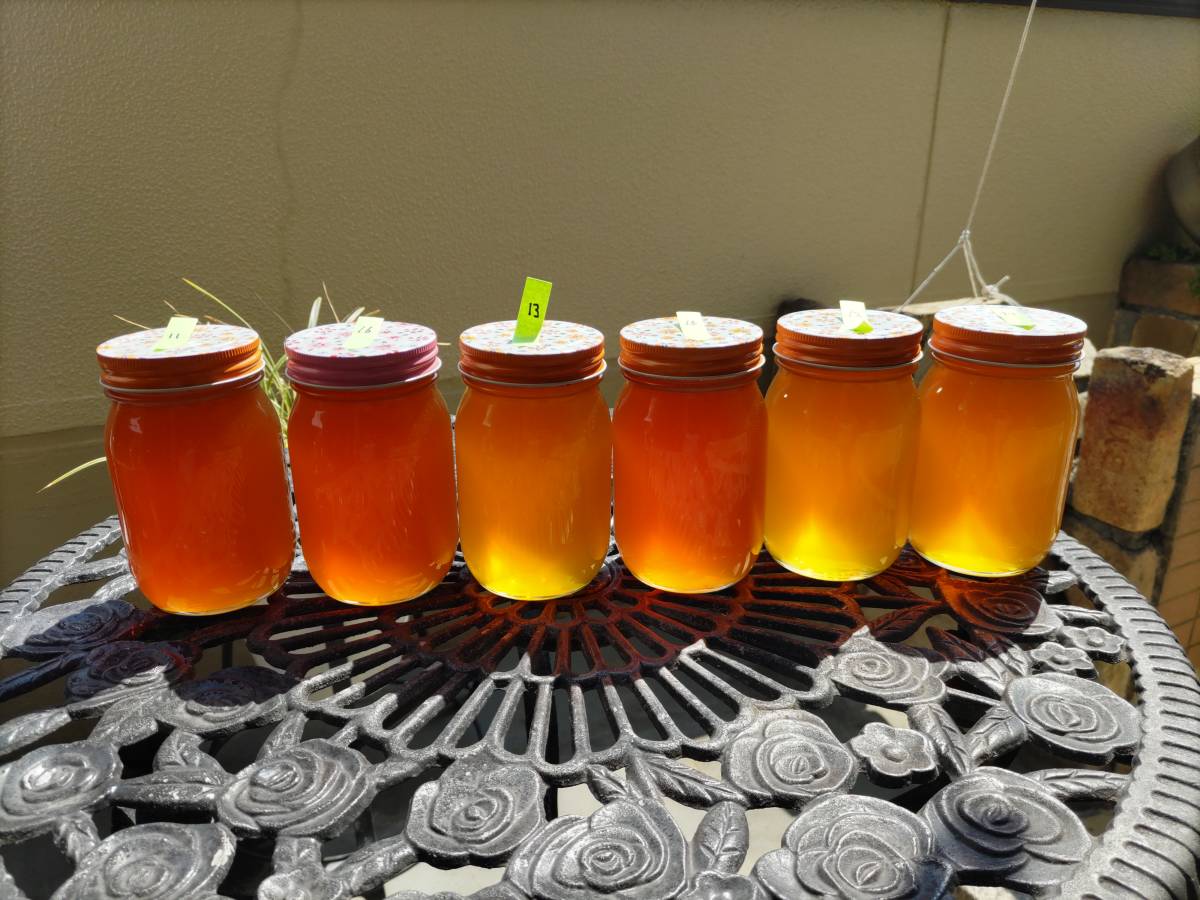 【未使用】日本蜜蜂100％ 自然ろ過 非加熱 百花蜜 約3,780gの落札情報詳細 - ヤフオク落札価格検索 オークフリー