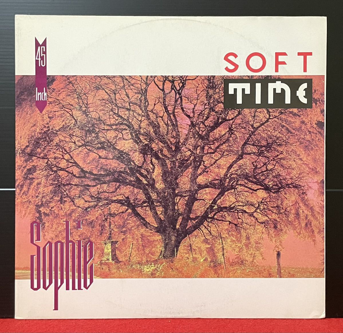 【目立った傷や汚れなし】人気曲 ソフィー SOPHIE / SOFT TIME 12inch盤 その他にもプロモーション盤 レア盤 人気 ...