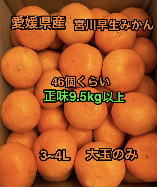 【やや傷や汚れあり】全国送料無料 早生みかん 特大 3L以上 大玉のみ 箱込10kg 愛媛県産 21の落札情報詳細 - ヤフオク落札価格検索 オークフリー
