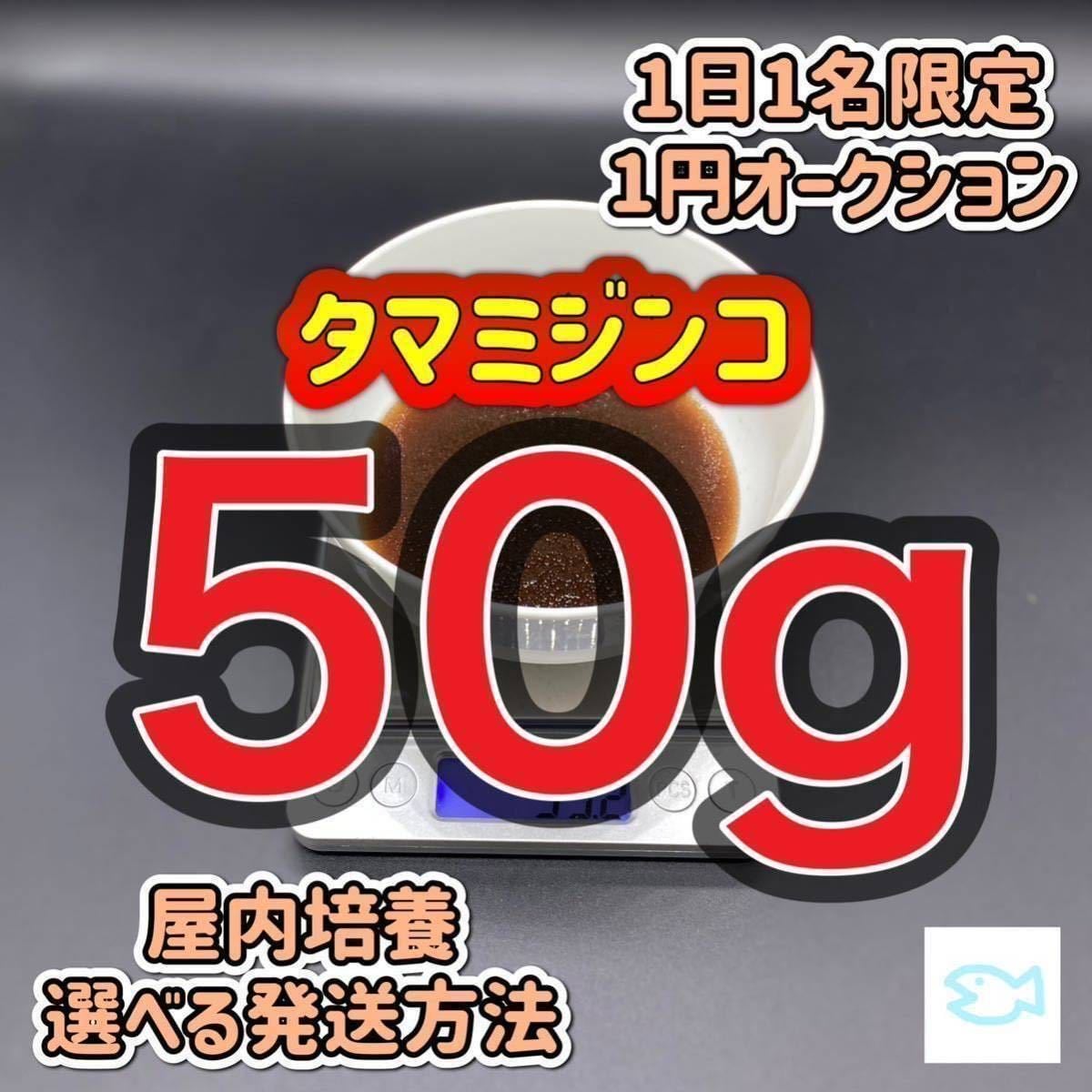 【新品】★☆タマミジンコ100匹前後と濃縮ゾウリムシ300ml 送料無料です☆★の落札情報詳細 - ヤフオク落札価格検索 オークフリー
