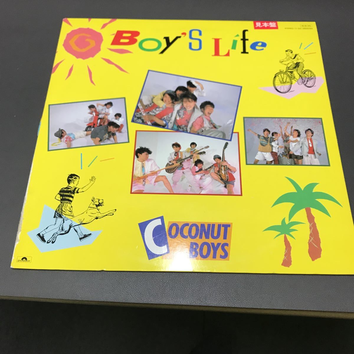 【やや傷や汚れあり】LP-008 見本盤 ココナッツ・ボーイズ ボーイズ・ライフ Boy's Life 渡辺英樹 かまやつひろし 佐藤寛 秋元康 関口誠人 Coconut Boys 和モノの ...