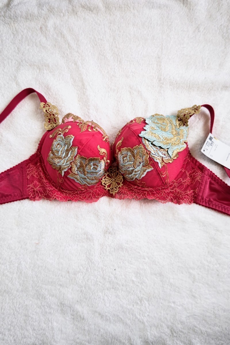 【未使用】☆☆新品 未使用 タグ付き ワコール サルート 2022 秋春【ベルサイユ】73G P-UPブラ E65 RP ☆☆の落札情報詳細 - ヤフオク落札価格検索 オークフリー