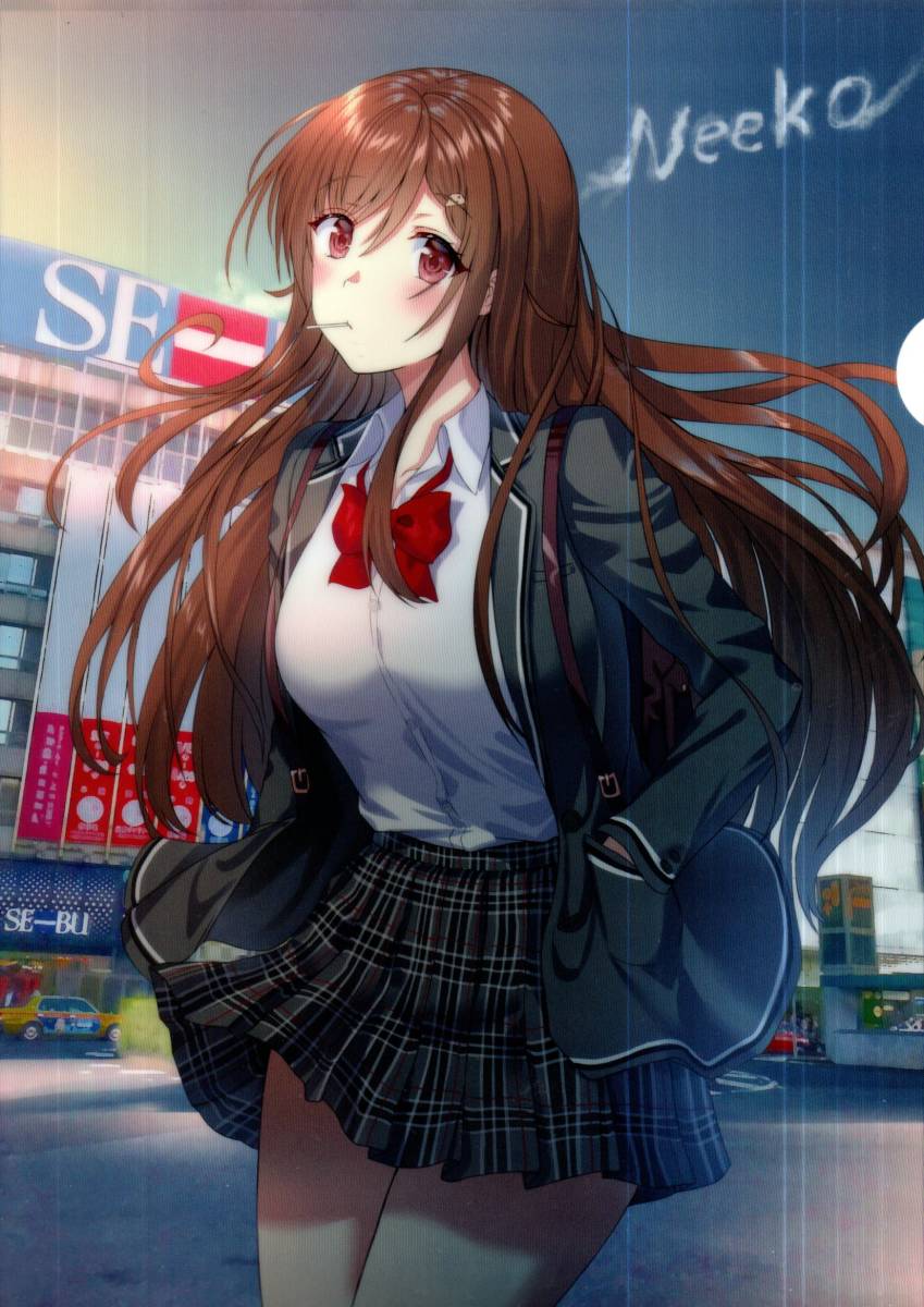 【未使用】1-2C『ニー子はつらいよ』 クリアファイルの落札情報詳細 - ヤフオク落札価格検索 オークフリー