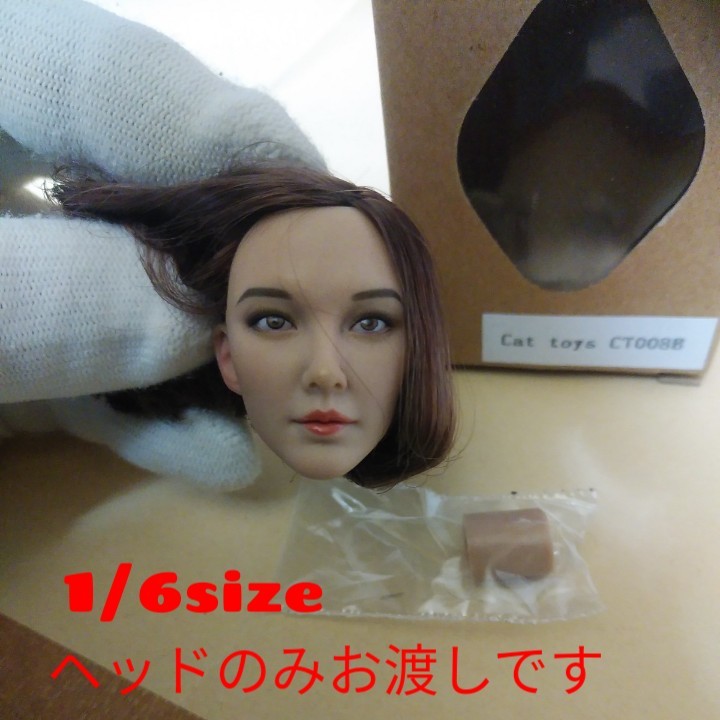 【やや傷や汚れあり】中古1/6sizeCATtoys製美人ヘッドのみお渡しです★ファイセンTBleagueのシームレスアクションフィギュア素 ...