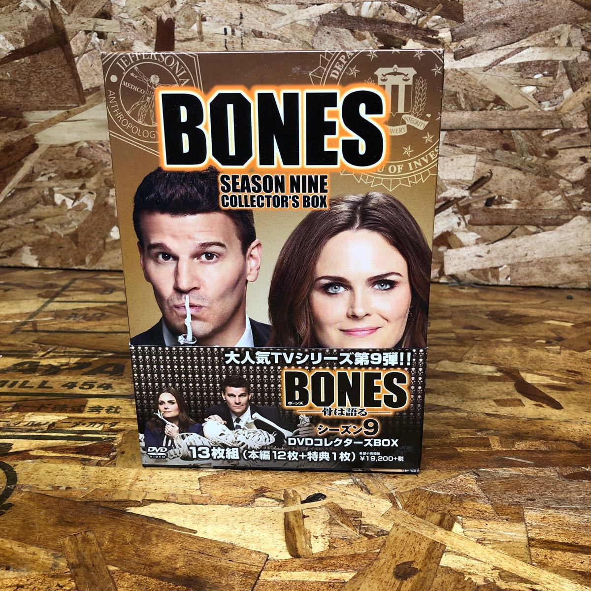 R-161 海外ドラマ DVDコレクターズBOX 大量 BONES ボーンズ 骨は語る 個人保管品 中古品の落札情報詳細 - ヤフオク落札価格検索 オークフリー
