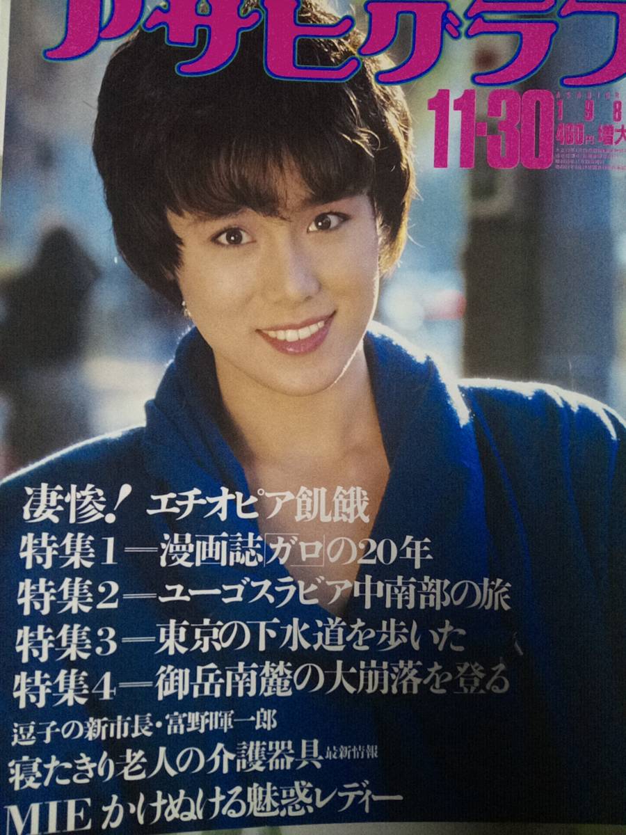 【傷や汚れあり】アサヒグラフ 1984年11月30日号 MIE・未唯mie・ピンクレディー/漫画誌・ガロの20年・長井勝一/白川由美の落札情報詳細 - ヤフオク落札価格検索 オークフリー