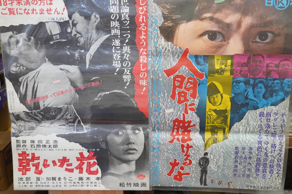 【やや傷や汚れあり】★昭和レトロ 映画ポスター 『加賀まりこ 池部良 乾いた花 松竹64年・藤村有弘 渡辺美佐子 人間に賭けるな 日活64年