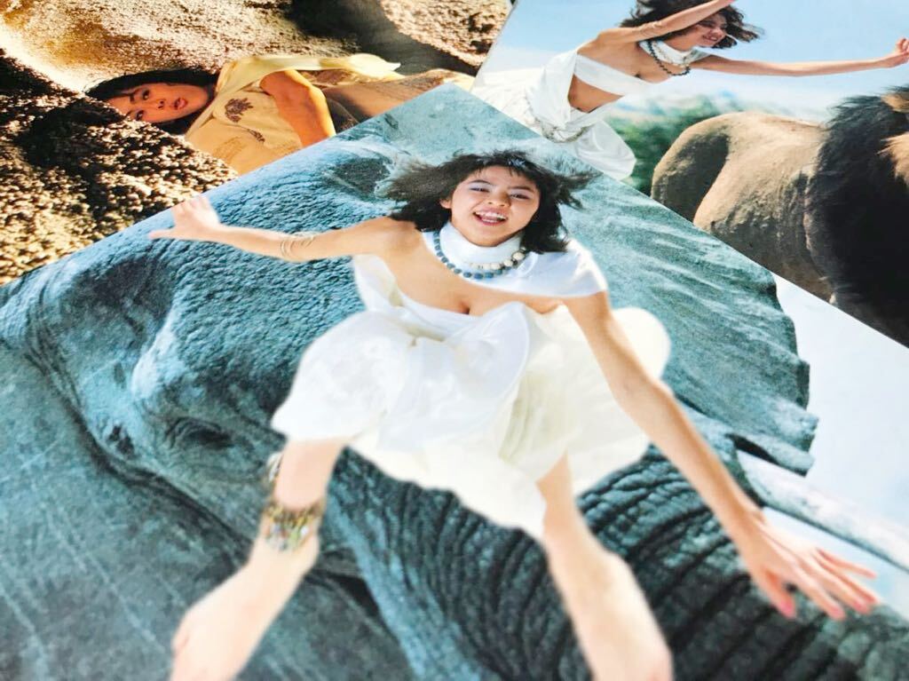 【中古】NOKKO レベッカ ノッコ 切り抜き グラビア P8ページの落札情報詳細 - ヤフオク落札価格検索 オークフリー