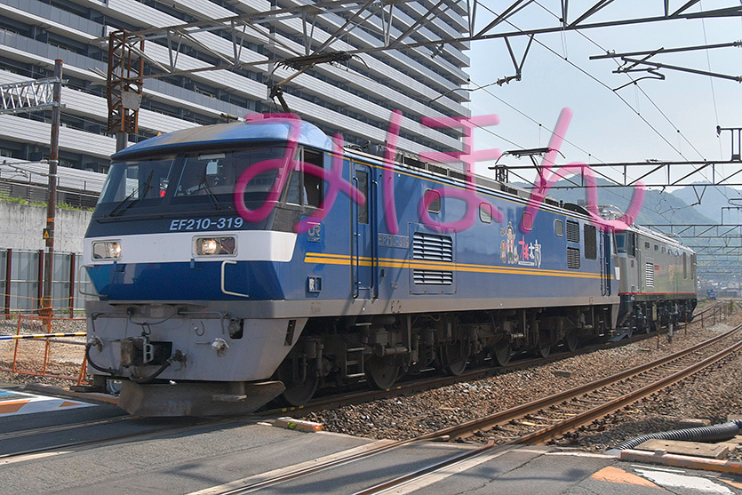 【未使用】EF210-319+EF510-310 _DSC5378.jpgの落札情報詳細 - ヤフオク落札価格検索 オークフリー