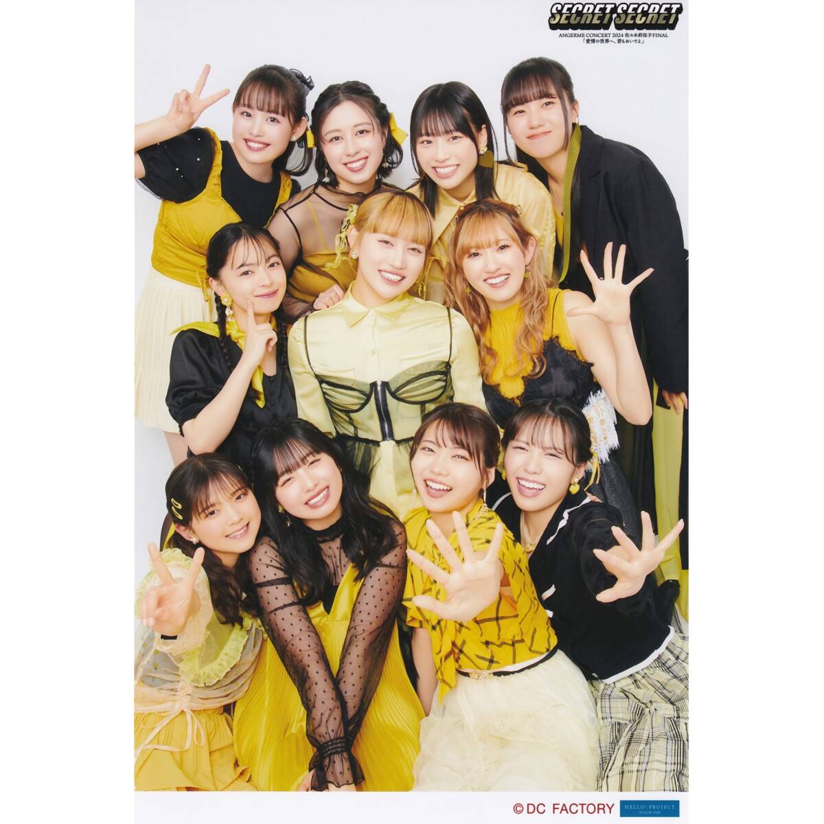 【目立った傷や汚れなし】ANGERME CONCERT 2024 SECRET SECRET 佐々木莉佳子 FINAL「愛情の世界へ、君もお ...