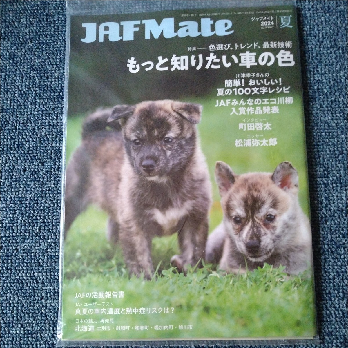 【未使用】JAF Mate ジャフメイト 2024夏 表紙が可愛いワンちゃん 未開封ですが…宛名を剥がした跡が有ります。 の落札情報詳細 - ヤフオク落札価格検索 オークフリー