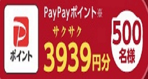 【やや傷や汚れあり】懸賞 応募券 ( PayPayポイント 3939円 500名、どん兵衛…クッション…の落札情報詳細 - ヤフオク落札価格検索 オークフリー