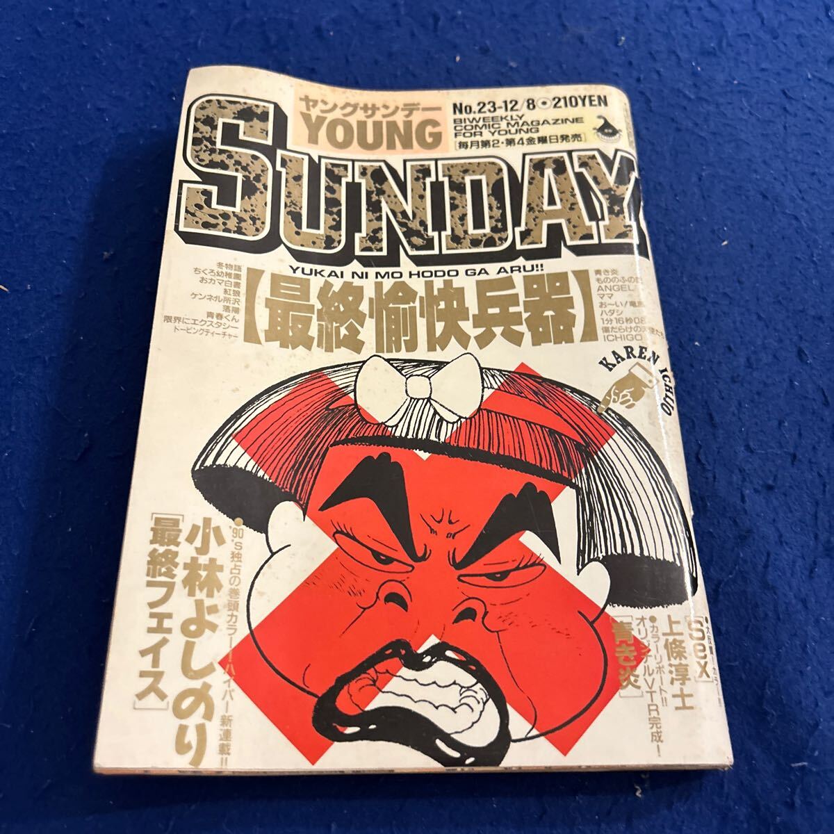 Spa 19925 飯島愛 細川ふみえ 藤崎仁美 井上晴美 吉野綾 中條かな子 中尊寺ゆつこ 小林よしのり の落札情報詳細 Yahooオークション落札価格検索 オークフリー