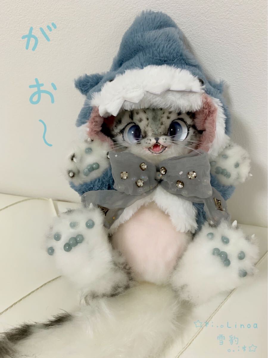 【新品】洋蘭 Rlc Waianae Leopard ‘Ching Hua’ HCC/AOS 強健多輪性スポット！ これかすげーです。の落札 ...