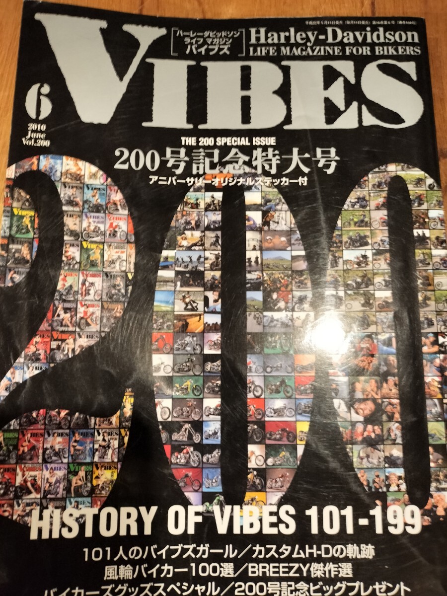 【目立った傷や汚れなし】vibes バイブズ 2001年 2月 Vol 88 吉野サリー 歴代バイブズガール未公開ショット14pの落札情報詳細