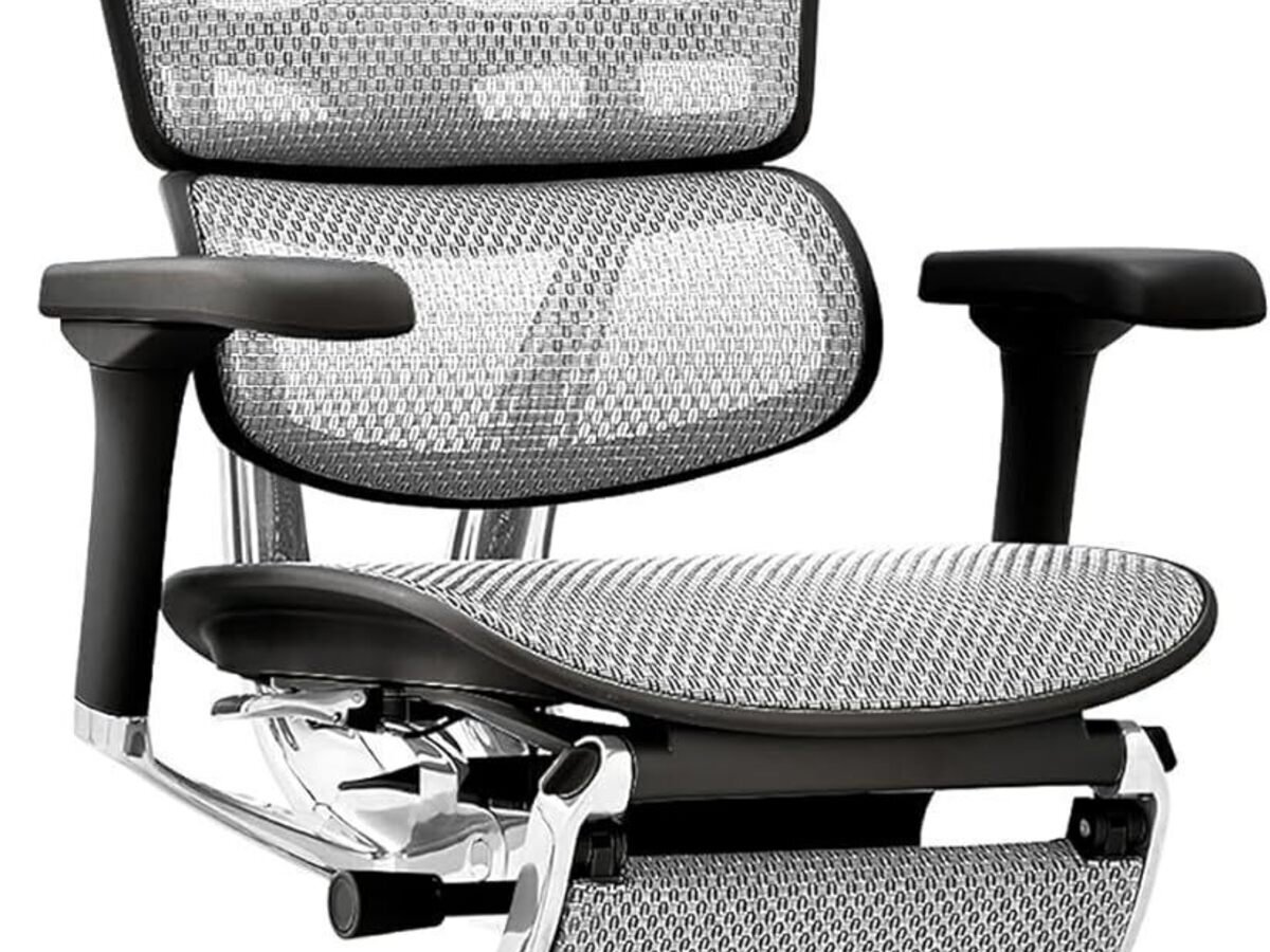 【未使用】新品 新型 Ergohuman Pro 2 エルゴヒューマン プロ2 オットマン ヘッドレスト付 店頭引取可 オフィスチェア 椅子の落札情報詳細 - Yahoo!オークション落札価格 ...