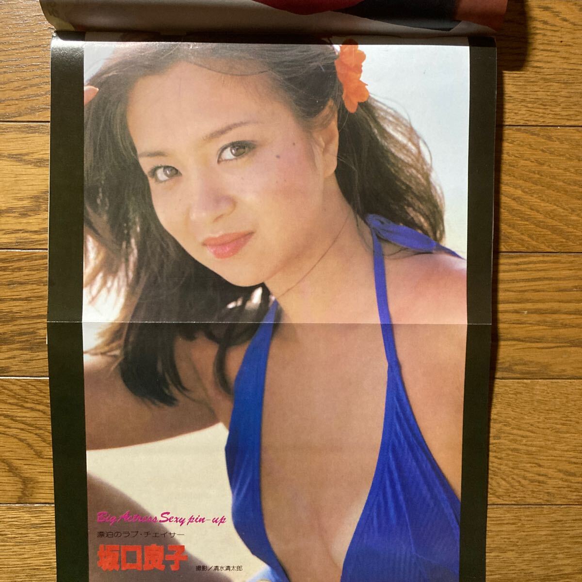 【傷や汚れあり】週刊プレイボーイ1979年9月4日号 坂口良ピンナップ 岸本加世子 住吉千秋 咲田美樹 冬樹 の落札情報詳細 - Yahoo!オークション落札価格検索 オークフリー