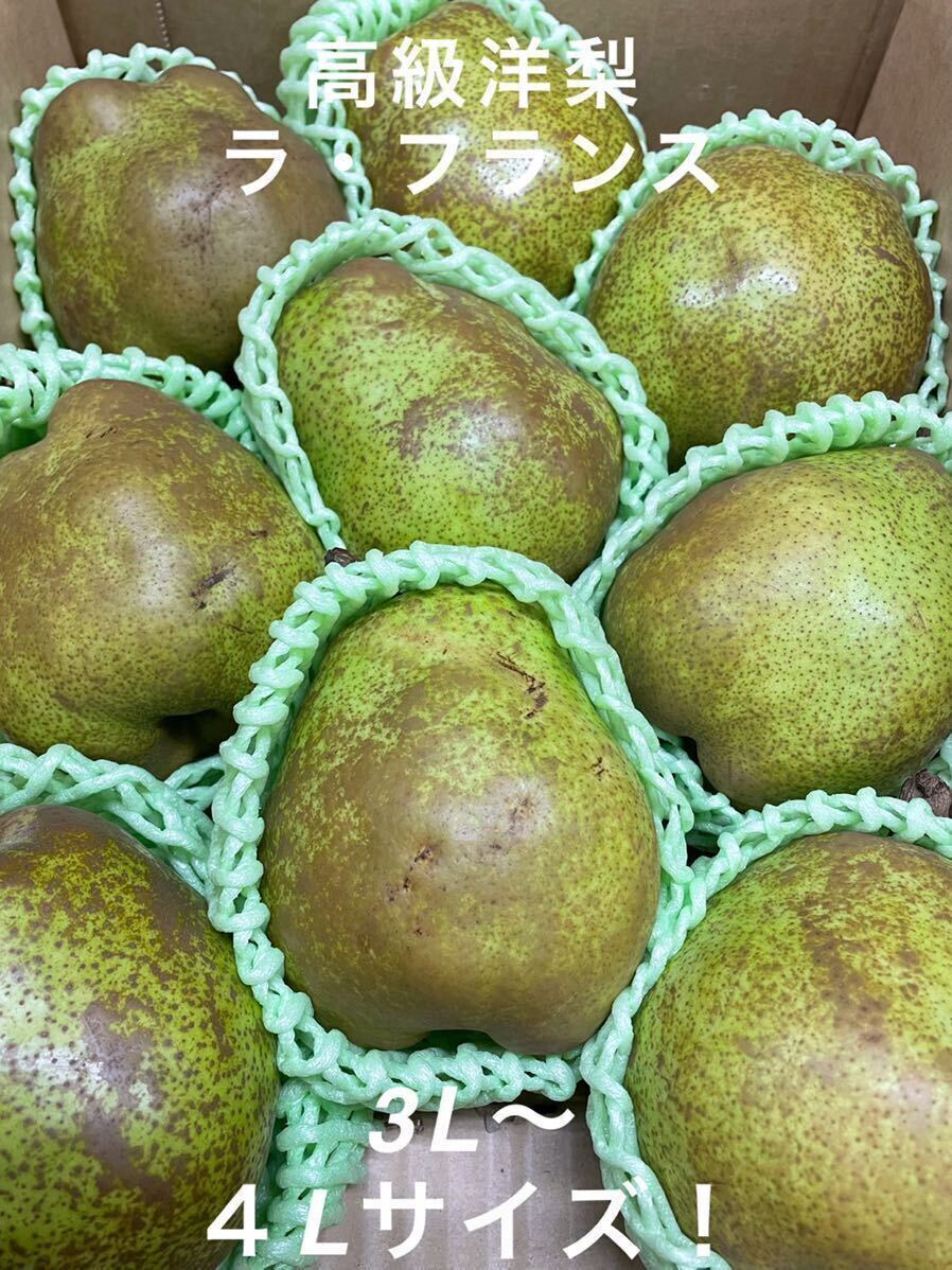 【やや傷や汚れあり】【大特価】 旬の果物 産地直送 高級洋梨 ラ・フランス 3L-4Lサイズ 3.2kg 梨 洋梨 果物の落札情報詳細 - Yahoo!オークション落札価格検索 オークフリー