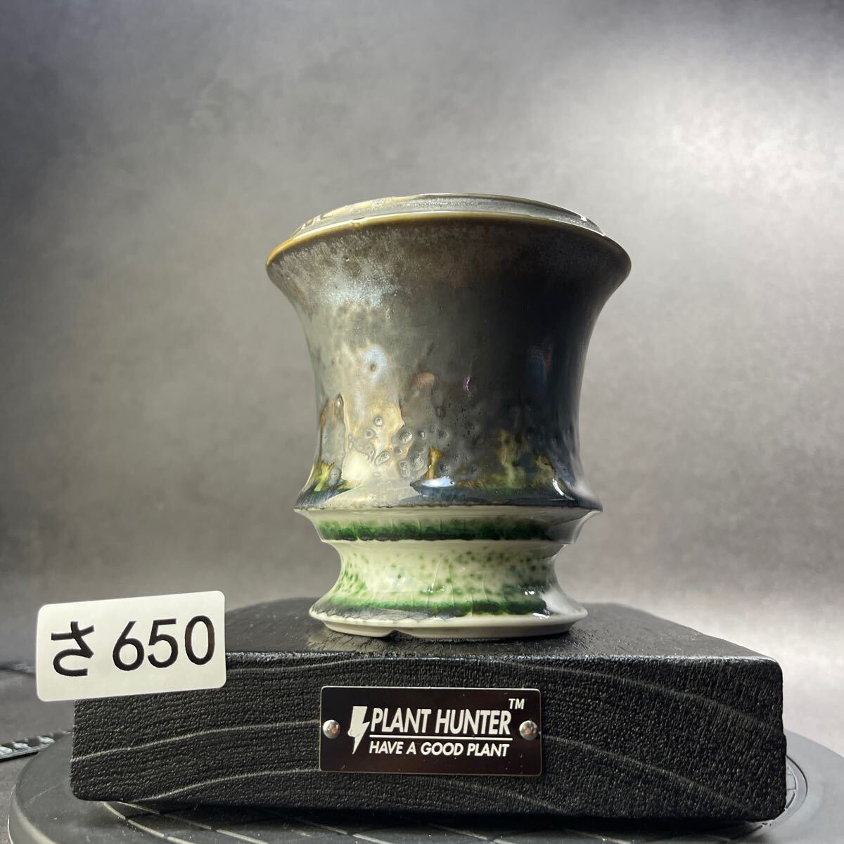 【未使用】さ650 Mサイズ 手作植木鉢 検索(raw life factory SRL invisible inkカタチ製作所 中川智治 コーデックス グラキリス パキプス アガベ)の落札 ...