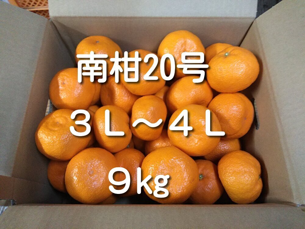 【やや傷や汚れあり】『南柑20号』 3L～4L 9kg みかん 生産者直送 熊本産 全国送料無料の落札情報詳細 - Yahoo!オークション落札価格検索 オークフリー