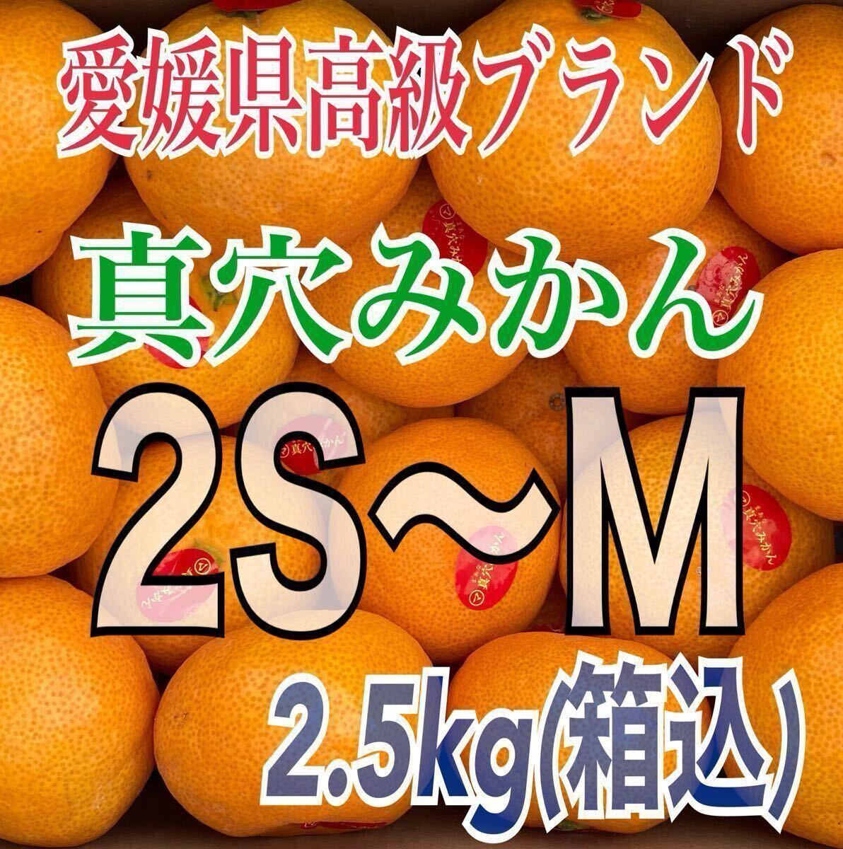 【未使用】②『常温便』愛媛県西宇和産 真穴みかん 2S〜Mサイズ 2.5kg 【箱込】 【真穴共選正規品】の落札情報詳細 - Yahoo!オークション落札価格検索 オークフリー