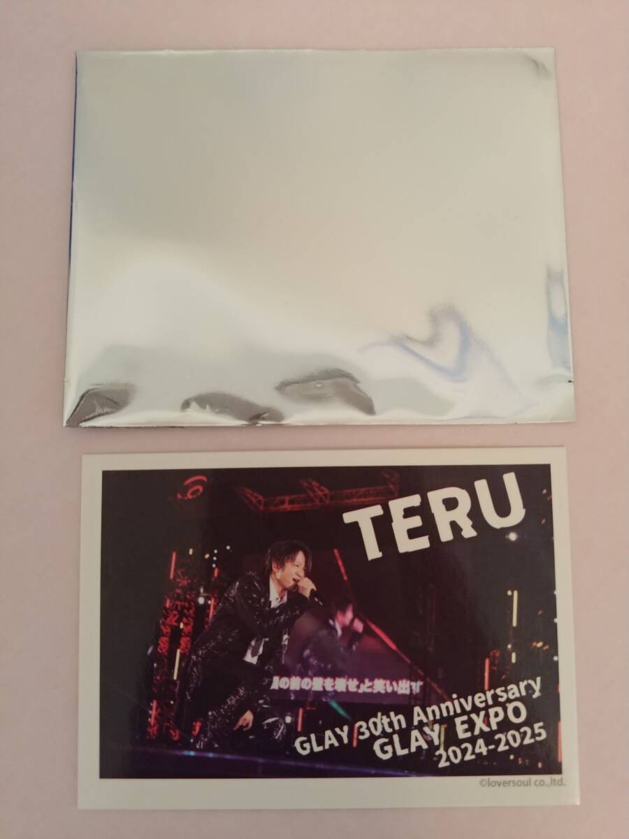 【未使用】GiGO GLAY 30th Anniversary GLAY EXPO 2024-2025 ライブフォトカード TERU 非売品 キャンペーン コラボ焼き コラボ ドリンクの落札 ...