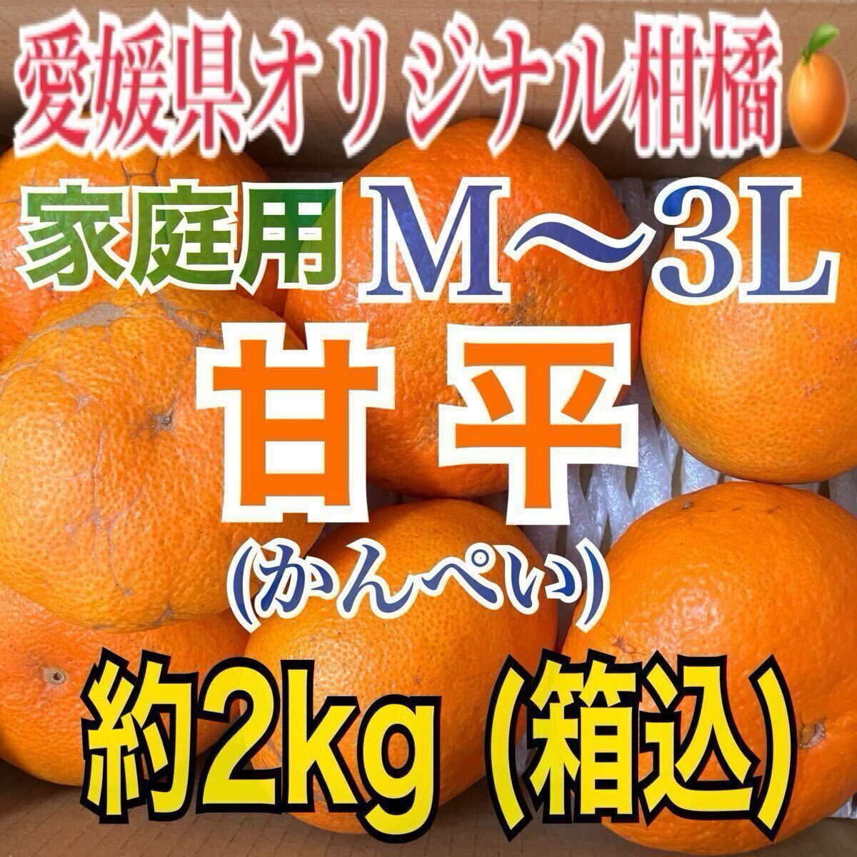 【未使用】② 家庭用 愛媛産三大柑橘の逸品！ 甘平(かんぺい) M〜3Lサイズ 約2kg（箱込）の落札情報詳細 - Yahoo!オークション落札価格検索 オークフリー