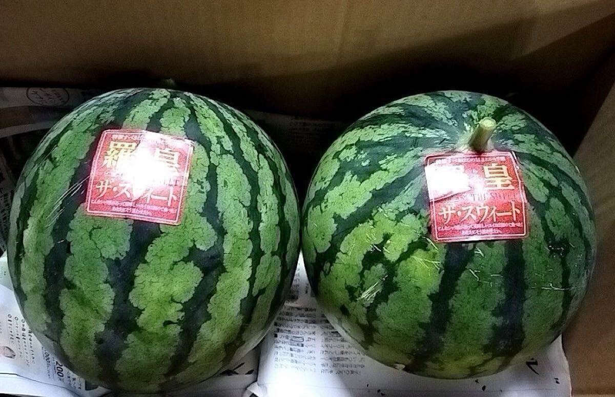 【未使用】【送料無料1円スタート☆☆☆】熊本植木産 春スイカ 羅皇ザ・スウィート 1玉約5～6kg(2玉入)※連休明け発送なる場合有の落札情報詳細 - Yahoo!オークション落札価格検索 ...
