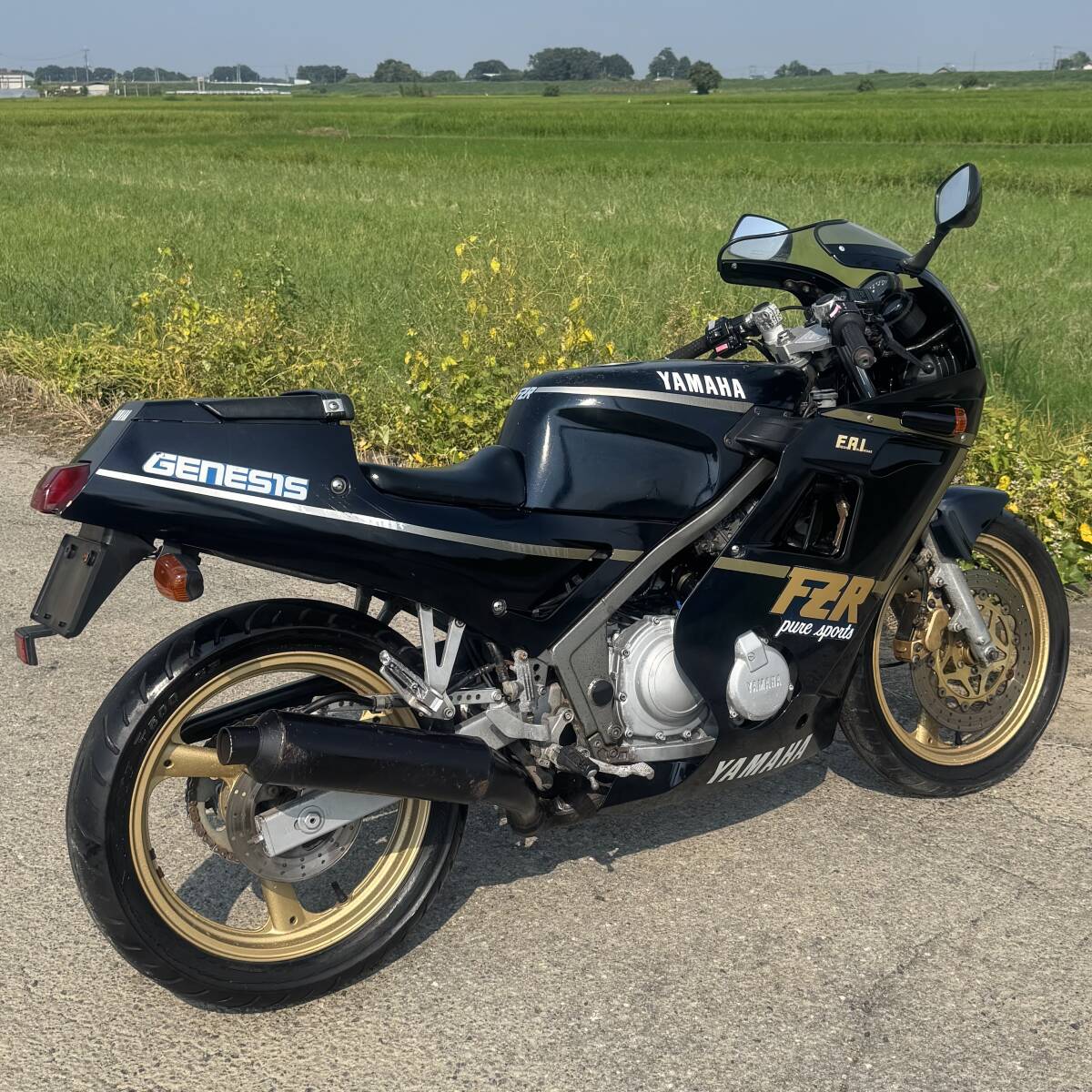 【目立った傷や汚れなし】ヤマハ FZR250 2KR 実動 好調 ホンダスズキカワサキ検)CBR DT FW FZR MVX NS GSX ...