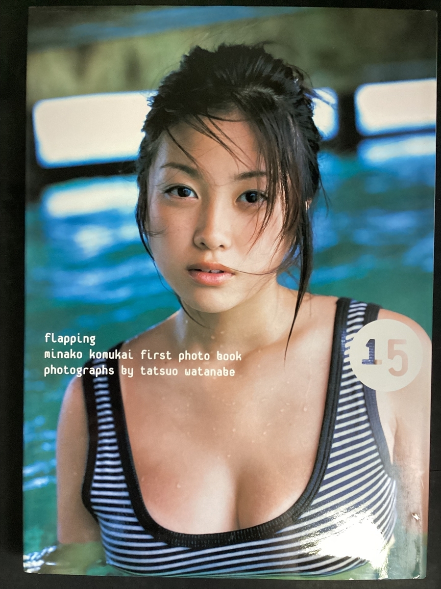【目立った傷や汚れなし】小向美奈子写真集『flapping 15』 2000年11月（平成12年） 小向美奈子 写真集 ★W13a2510の落札情報詳細 - Yahoo!オークション落札価格 ...