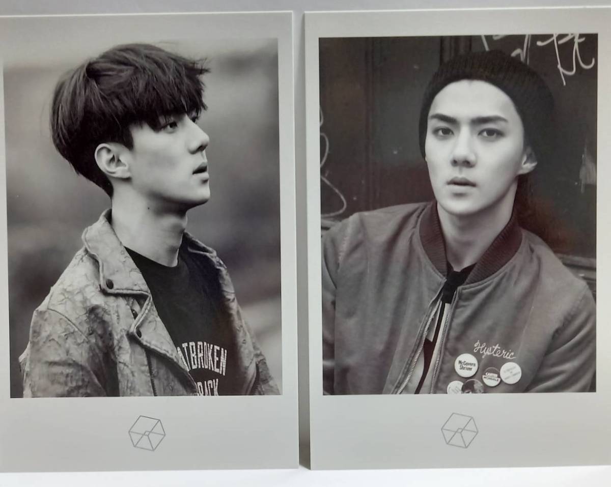 【目立った傷や汚れなし】即決【公式】EXO★EXODUS★ポラロイド★セフン 2枚 SM SUM 韓国 ポスカ フォトカード の落札情報詳細 - ヤフオク落札価格検索 オークフリー