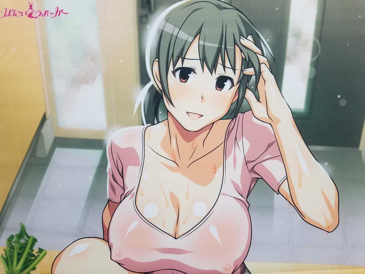 【とらのあな購入特典】 OVA 大好きな母 B2タペストリー /D16 の落札情報詳細| ヤフオク落札価格情報 オークフリー