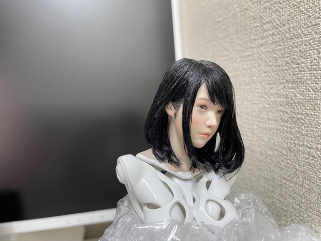 【目立った傷や汚れなし】【Android HB01】 塗装済完成品 1/6スケールフィギュア ガレージキット ガレキ の落札情報詳細 ...