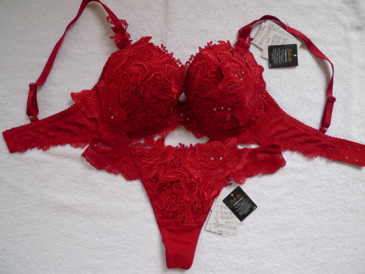 【未使用】ワコール♪サルート 【世界遺産～バチカン市国】 19G RE F65&ソング・ショーツM♪ P-up ＜店舗限定＞の落札情報詳細 - ヤフオク落札価格検索 オークフリー