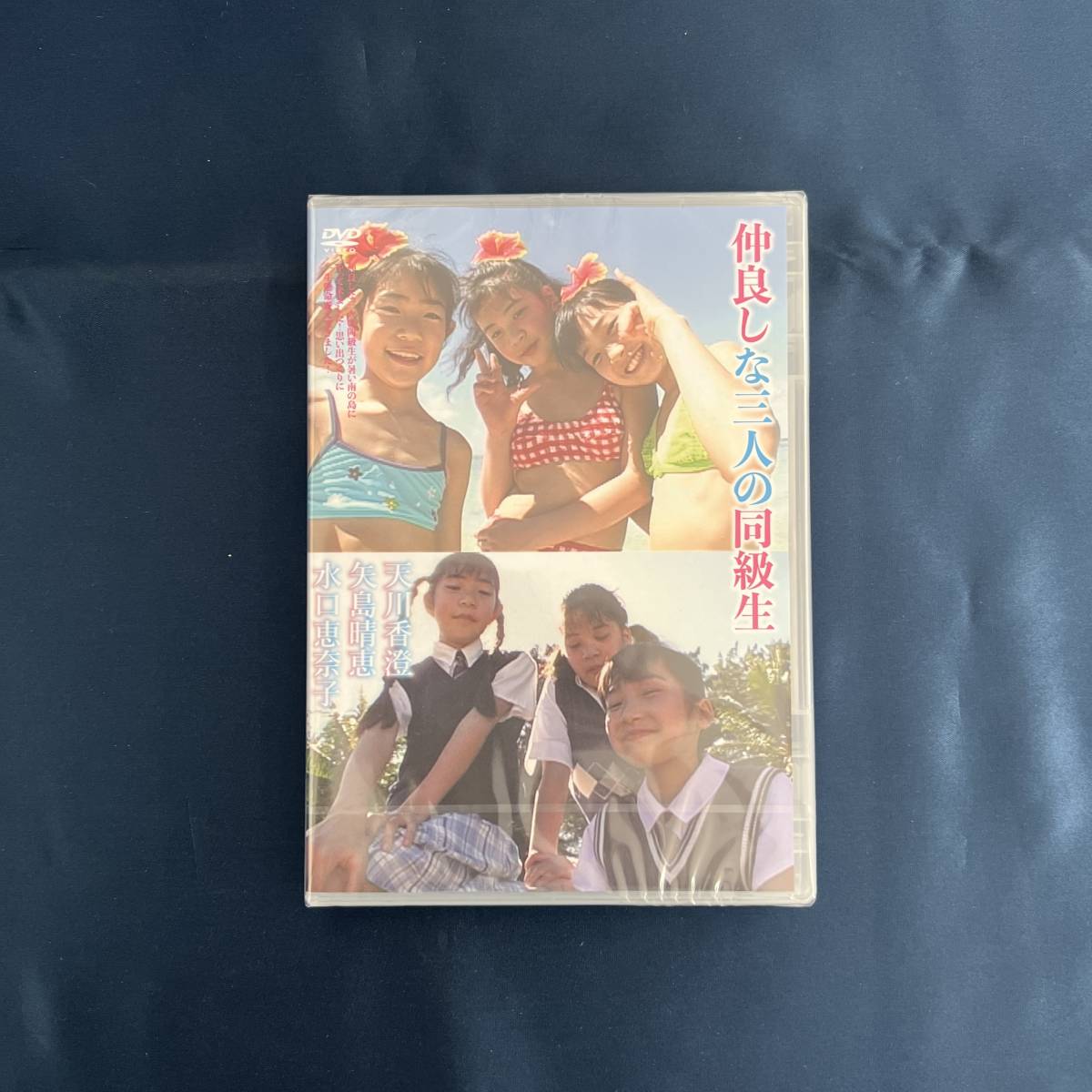 桜木ひな 同級生の妹4 Dvd の落札情報詳細 ヤフオク落札価格情報 オークフリー