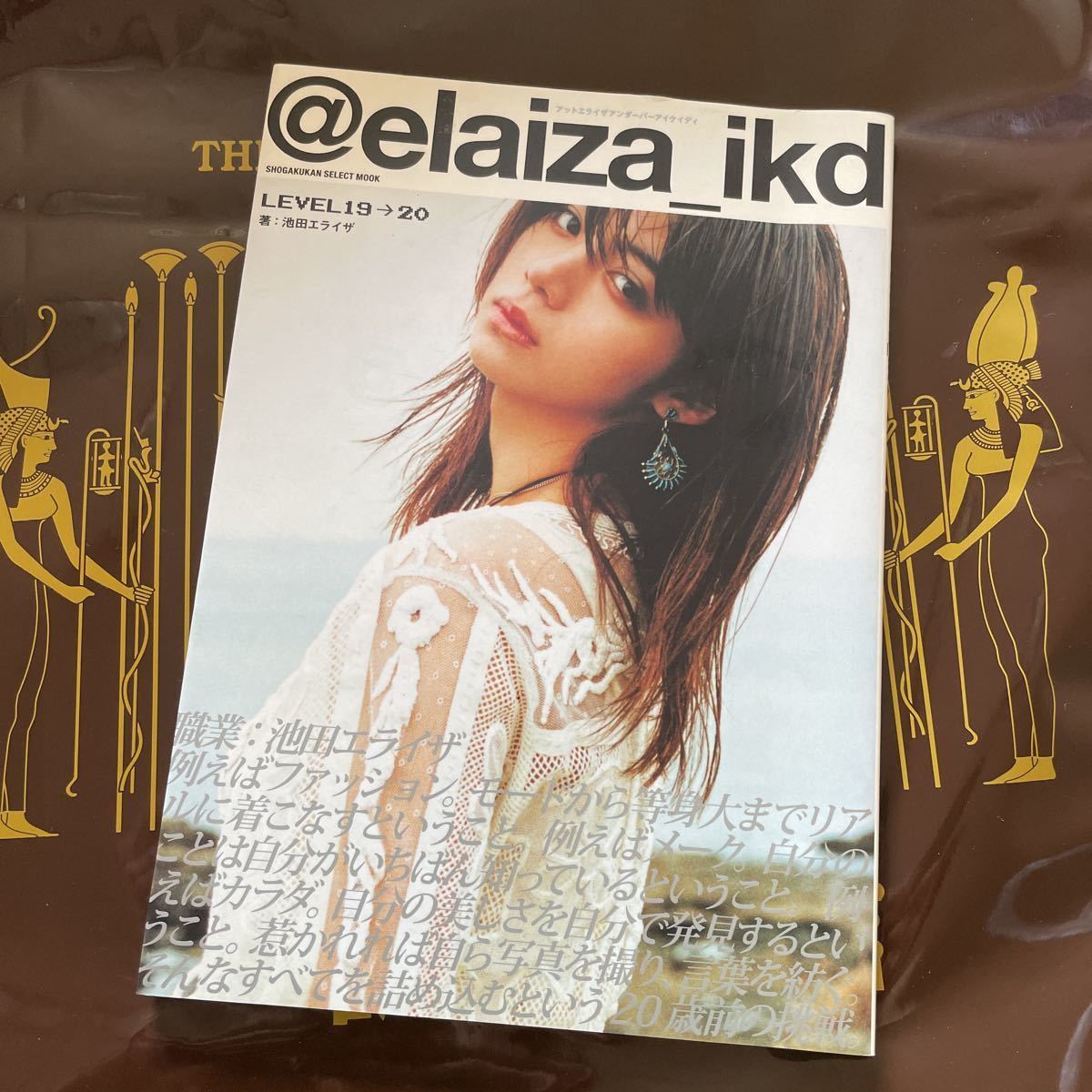 【未使用に近い】★【美品】池田エライザ @elaiza_ikd LEVEL19→20 フォトブック /初版・注文カード付 / 小学館★ の落札情報詳細| ヤフオク落札価格情報 オークフリー