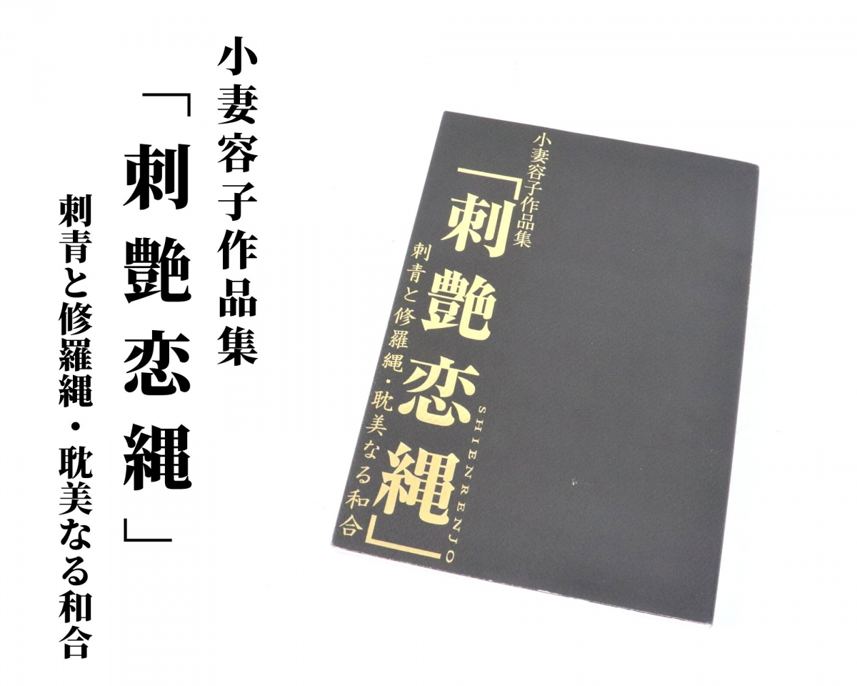 【傷や汚れあり】江戸の 短刀拵 コレクション 井出正信 里文出版 の落札情報詳細 ヤフオク落札価格情報 オークフリー