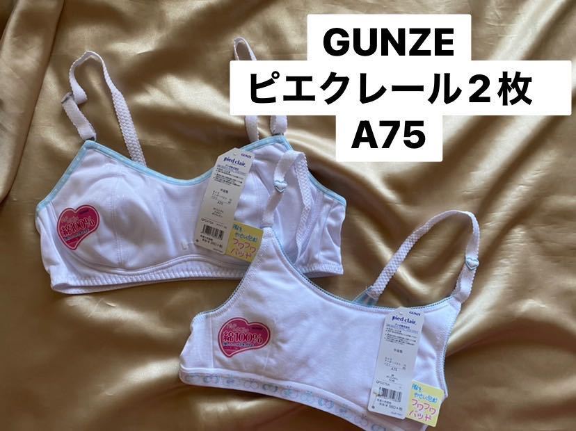 【未使用】GUNZE ピエクレール2枚の落札情報詳細 - ヤフオク落札価格検索 オークフリー