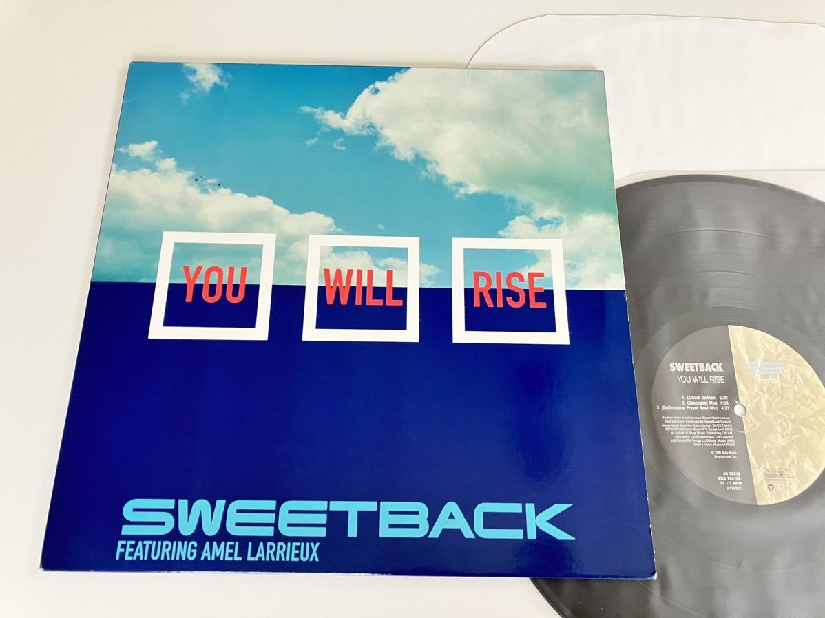 【目立った傷や汚れなし】SWEETBACK feat.Amel Larrieux/You Will Rise 5トラック12inch EPIC ...