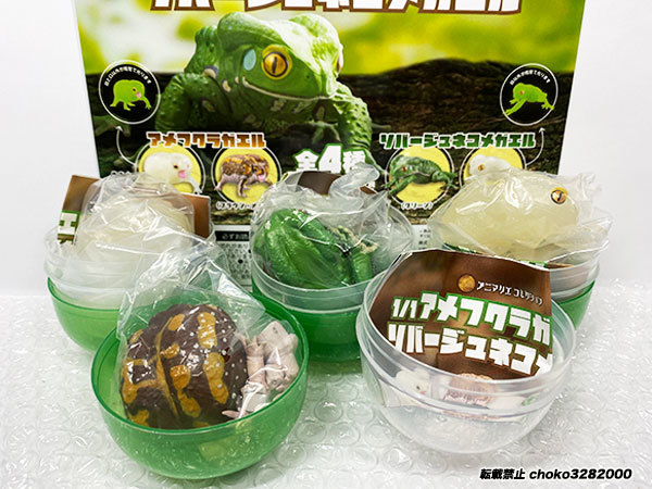 【未使用】SO-TA 1/1 アメフクラガエル＆ソバージュネコメガエル 全4種フルセット の落札情報詳細| ヤフオク落札価格情報 オークフリー