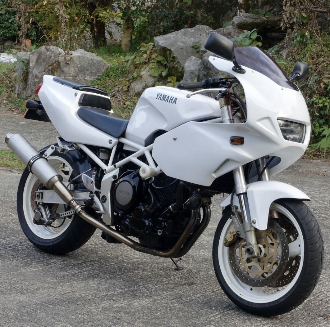 【傷や汚れあり】【実働】ヤマハ TRX850 4NX 倒立仕様/YZFフロント換装/Bremboマスター/社外アッパー/DUCATIマフラー/1995年式/ベース車に最適 の落札情報詳細 ...