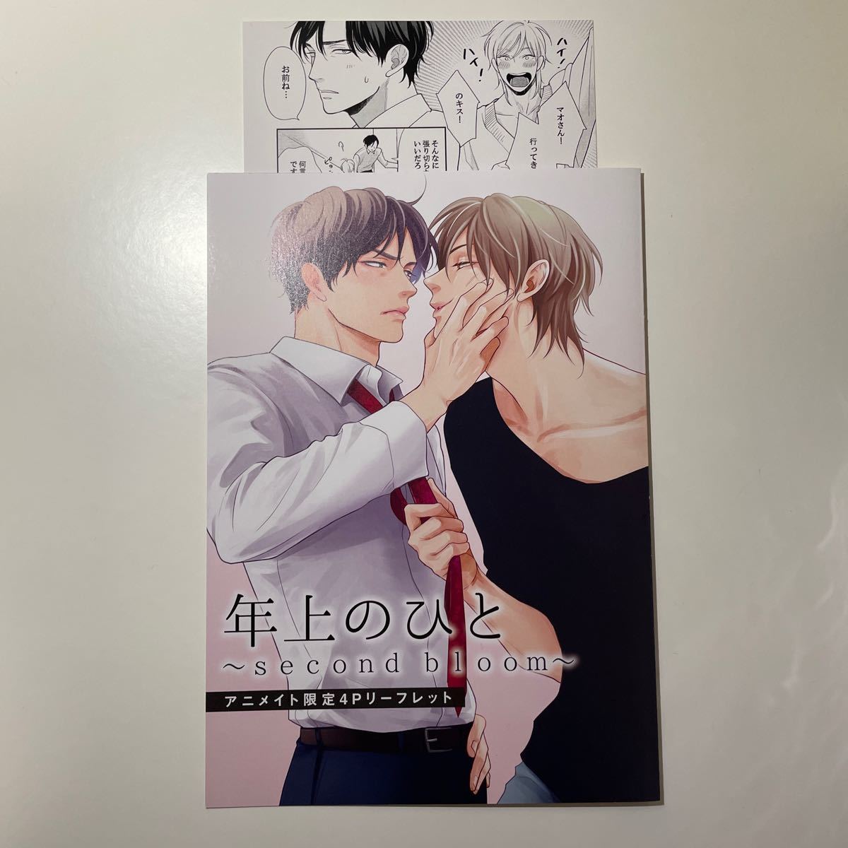 【未使用に近い】マージナルコミックス11月新刊「年上のひと -second bloom-」 河合あめ アニメイト限定リーフレット付き 初版 の落札情報詳細| ヤフオク落札価格情報 オークフリー