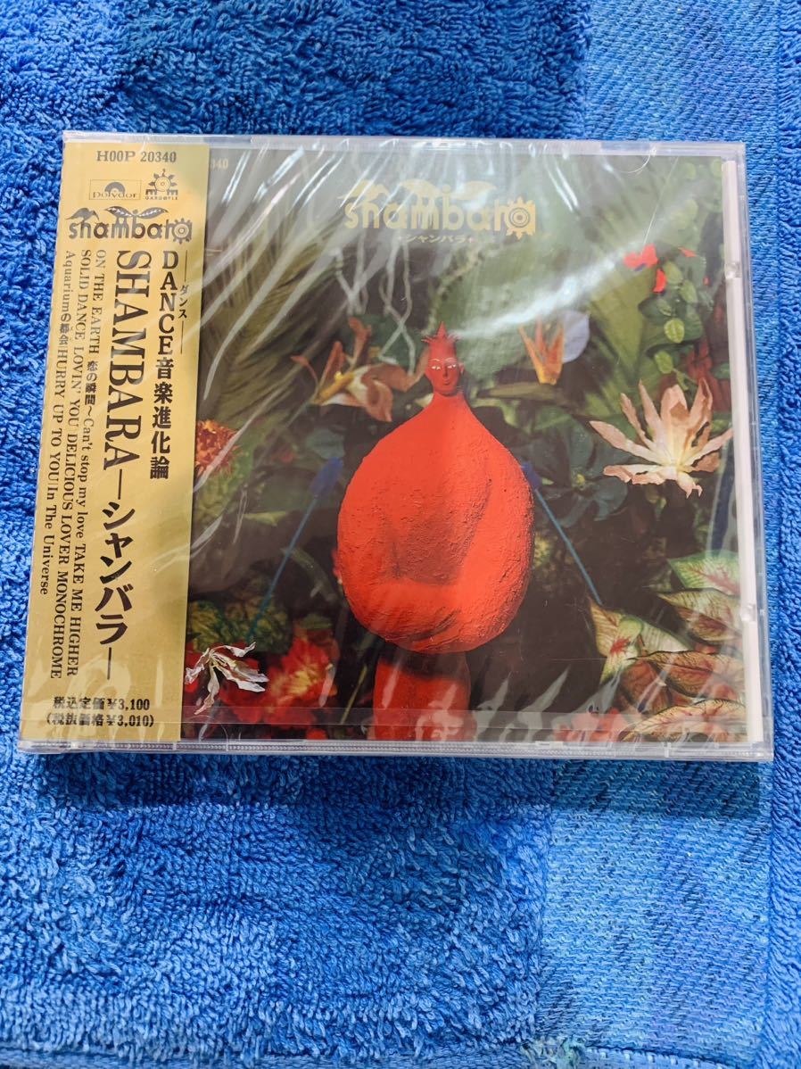 【未使用】未開封/未使用/プロモ/1989年初版/CD/シャンバラ /SHAMBARA/H00P-20340/神保彰 秋元薫 国分友里恵/国内 ...