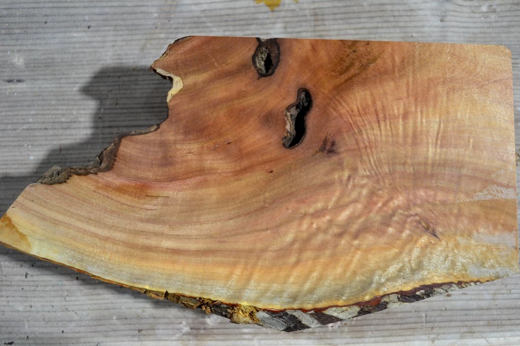 【未使用】長33*幅-17*厚1.5 カゴノキ7の木材木工材,一枚板DIY銘木花台 鹿子の木 加護の木 プレート 杢 の落札情報詳細 ...