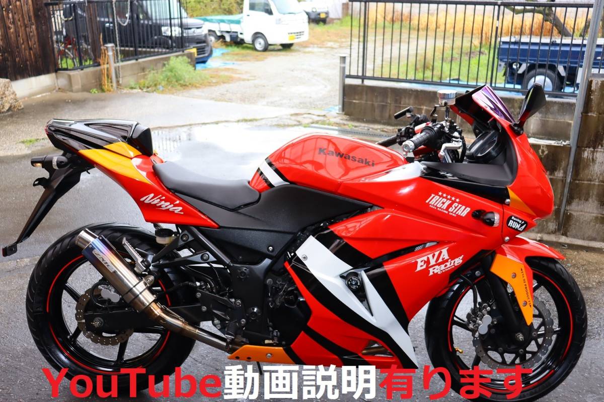 【やや傷や汚れあり】★エヴァンゲリオンRT弐号機 ニンジャ250R★低走行8289km★良音♪ZNICマフラー★詳細画像多数掲載★動画で車両説明しています★Ninja250Rの落札情報詳細 ...