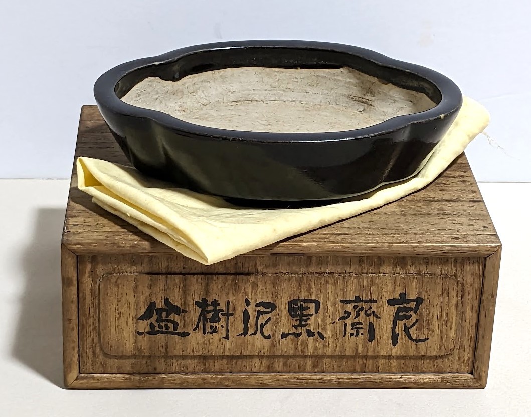 【傷や汚れあり】盆栽鉢① 井上良斎 箱有 黒泥樹盆 木瓜 小判型 小樹盆 植木鉢 横幅約16.5cm 盆栽 盆器 和鉢 蘭鉢の落札情報詳細 ...
