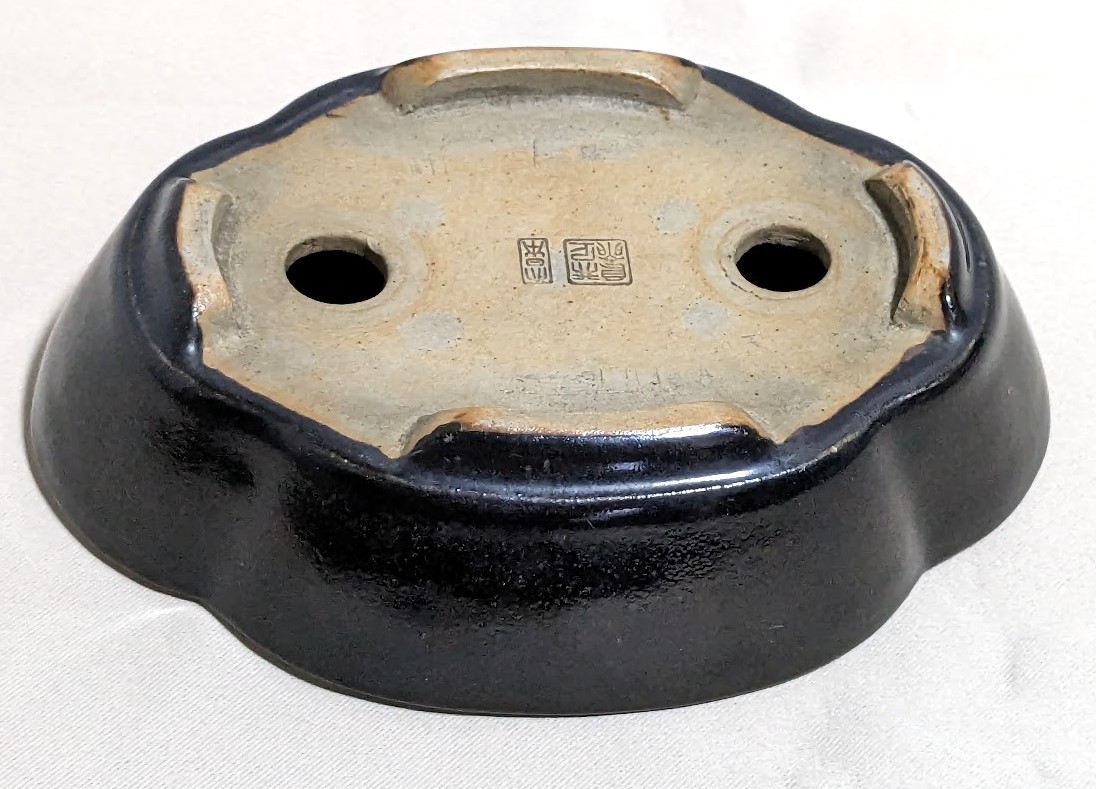 【傷や汚れあり】盆栽鉢① 井上良斎 箱有 黒泥樹盆 木瓜 小判型 小樹盆 植木鉢 横幅約16.5cm 盆栽 盆器 和鉢 蘭鉢の落札情報詳細 ...