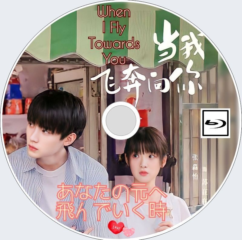【目立った傷や汚れなし】「when I Fly Toward You 当我飛奔向 」全24話 ジョウ・イーラン★チャン・ミャオイー 正常字幕★